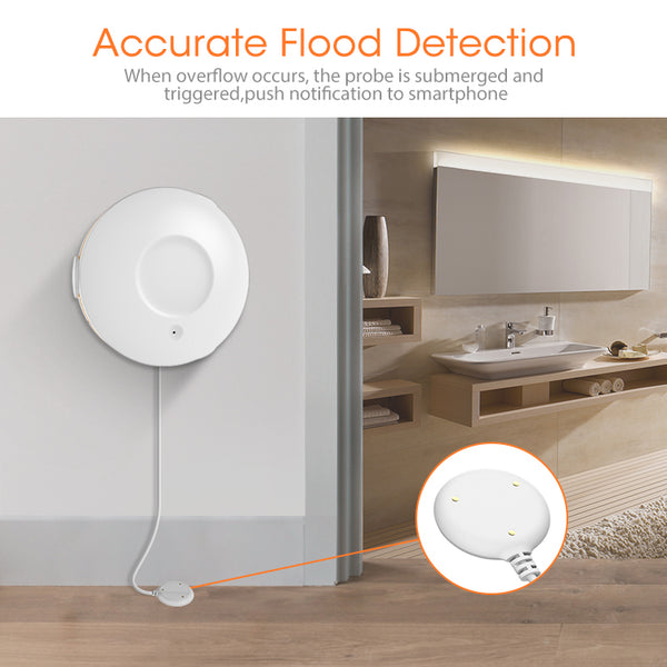 Eyzee ZigBee water sensor detector works with HomeKit, Alexa, Google ...